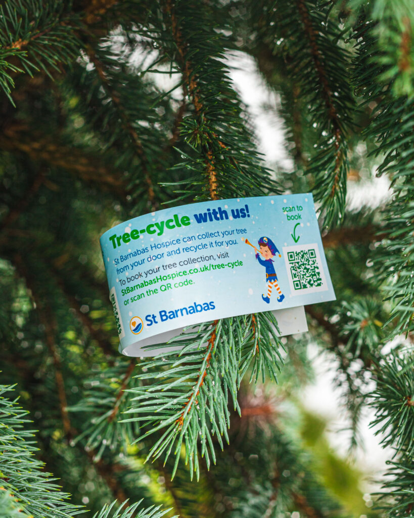 Recycle your Christmas Tree and support local Hospice care with St ...