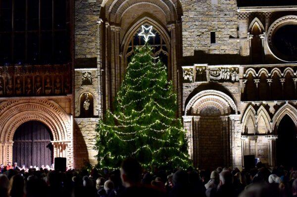 Tree of Life (Light up a Life) - St Barnabas Hospice