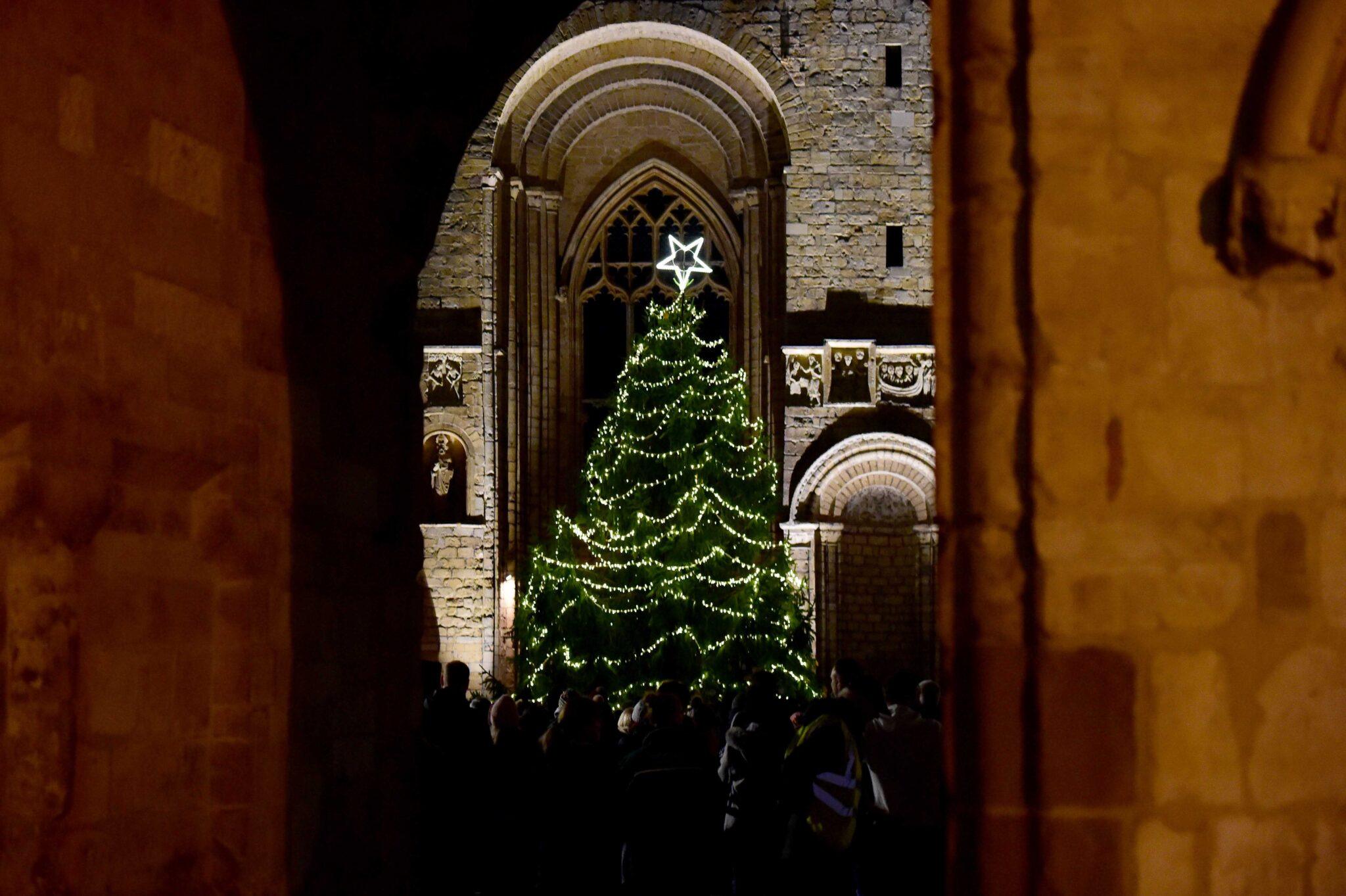 Tree of Life (Light up a Life) - St Barnabas Hospice
