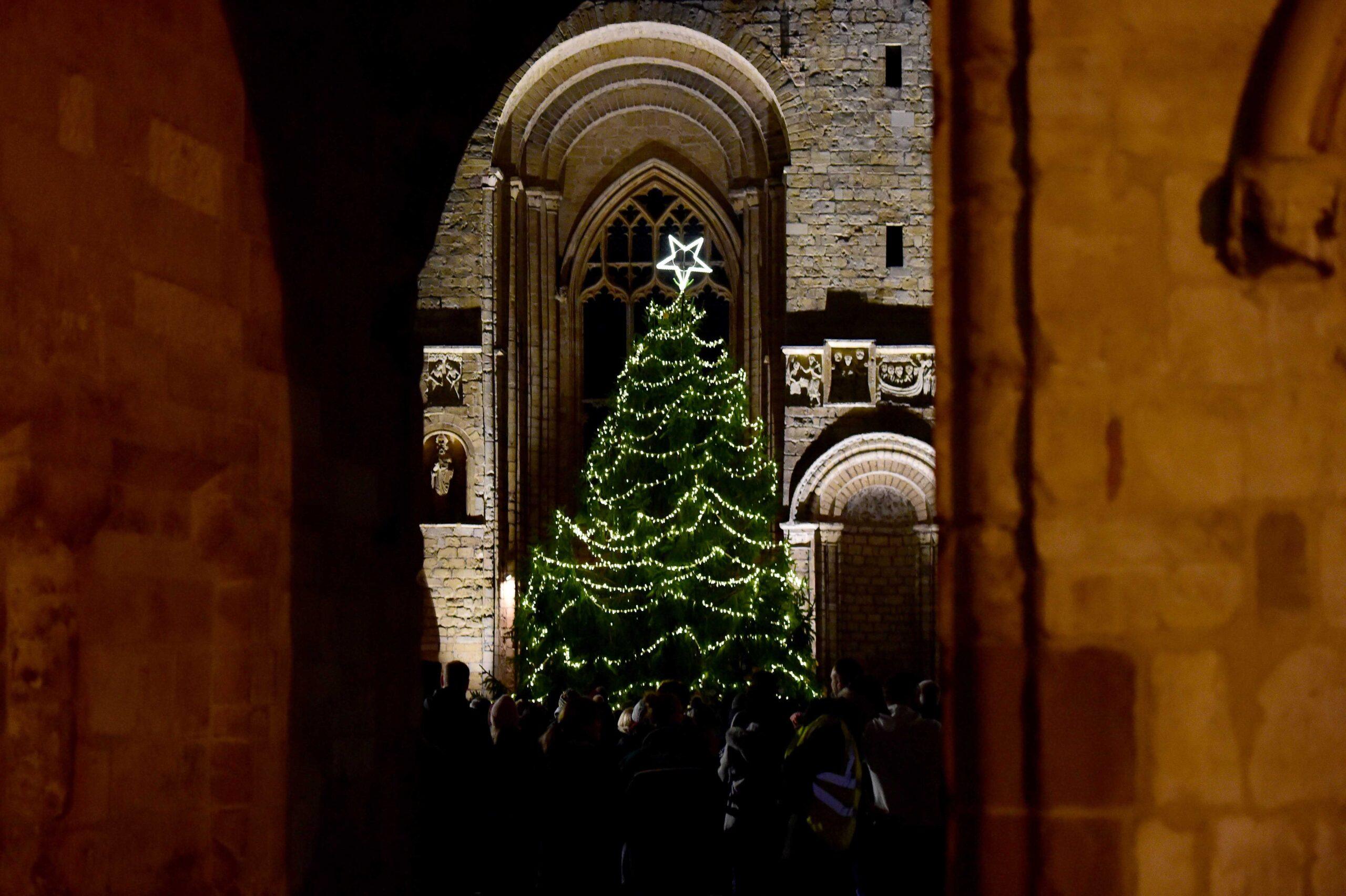 Tree of Life (Light up a Life) - St Barnabas Hospice